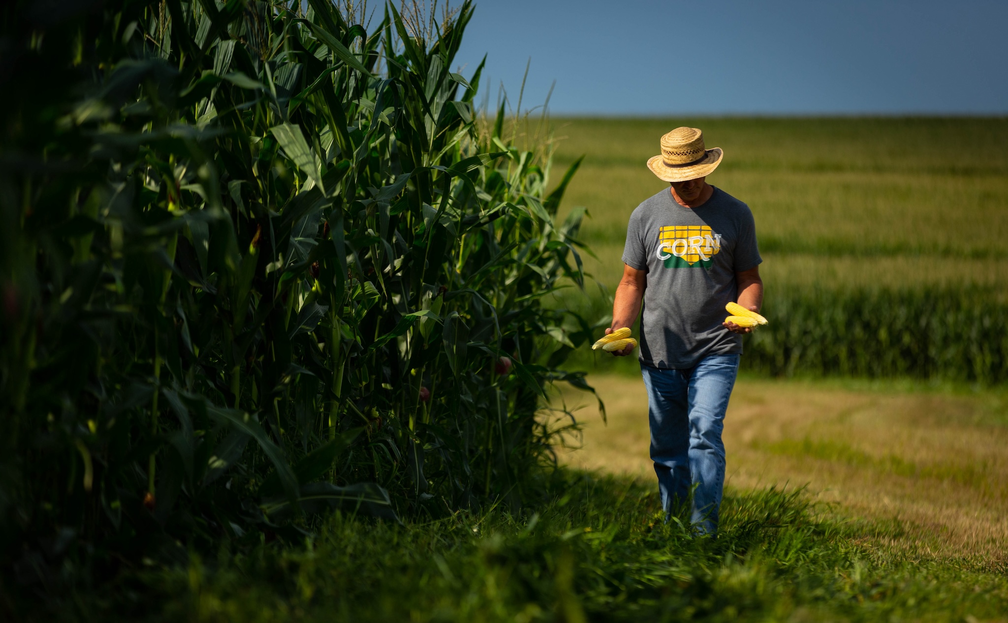 Roots Magazine June 2022 | Iowa Corn