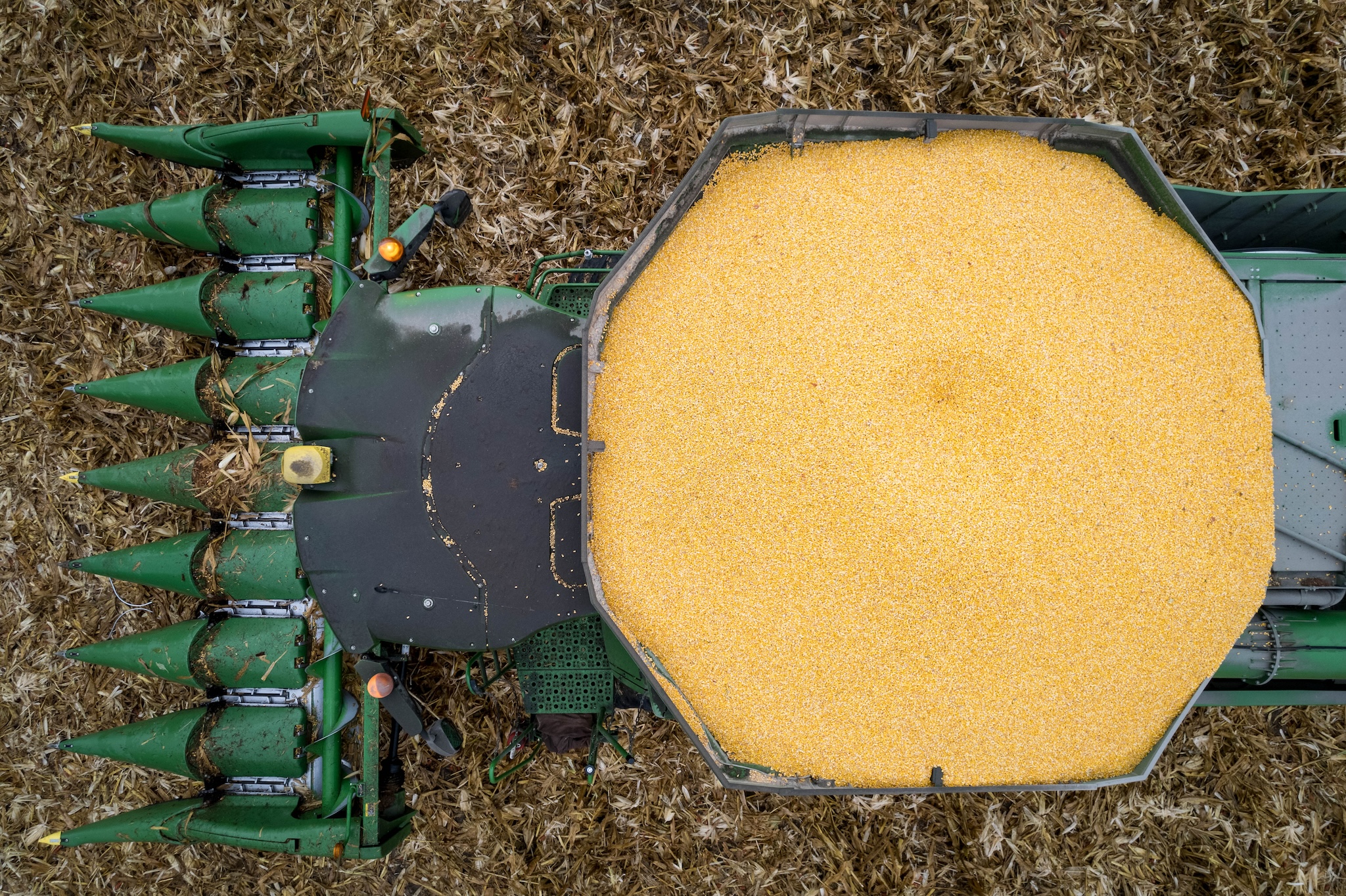 Roots Magazine: September 2023 | Iowa Corn