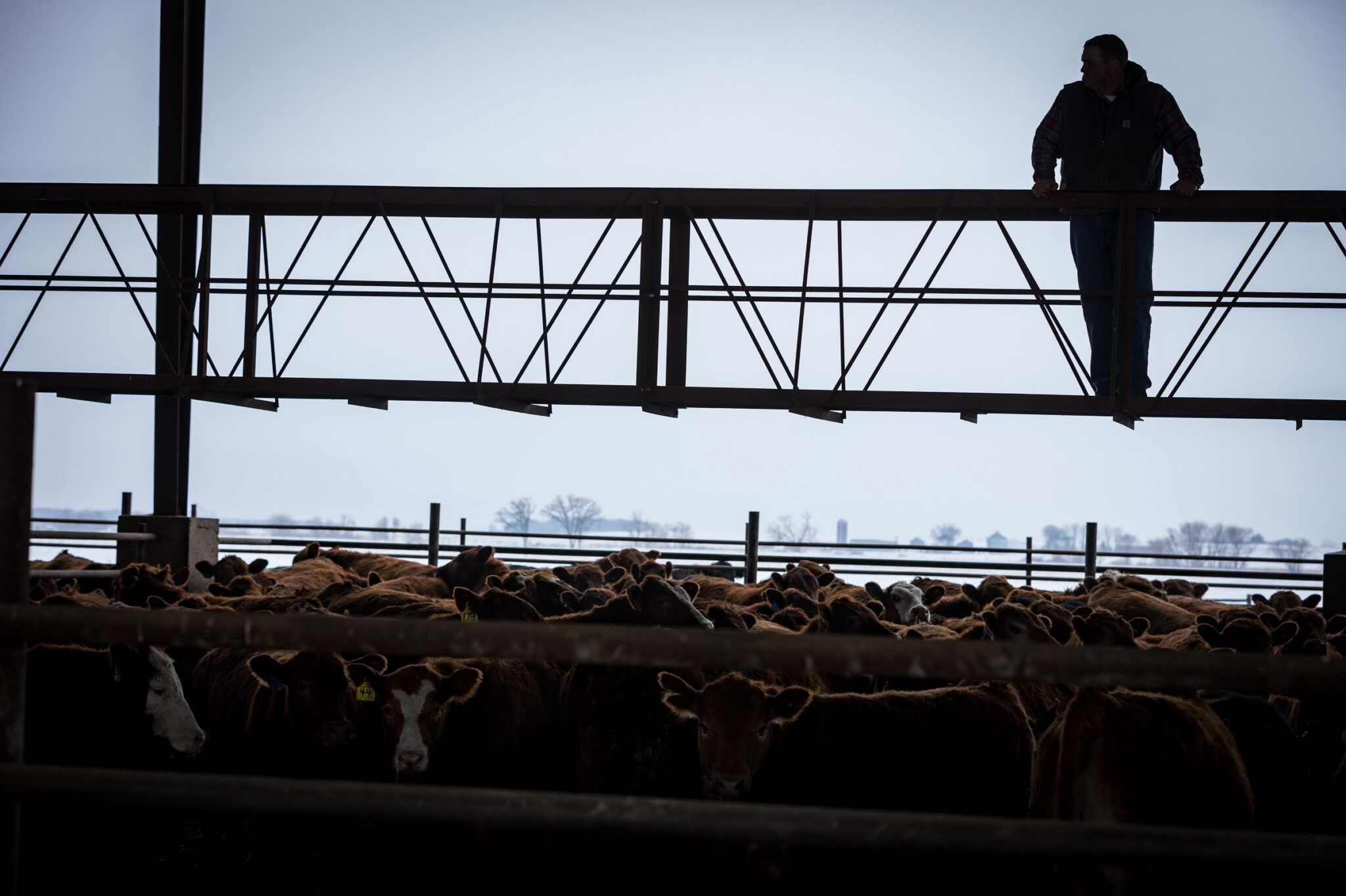 Iowa Corn Checkoff Market Development