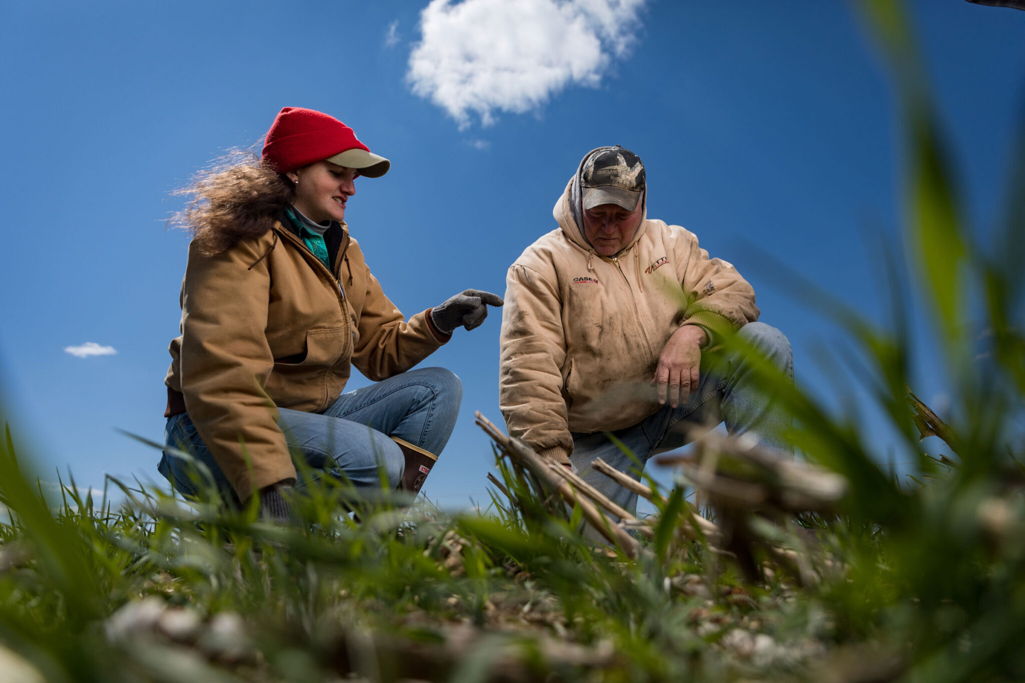 Corn Production: Research and New Uses | Iowa Corn