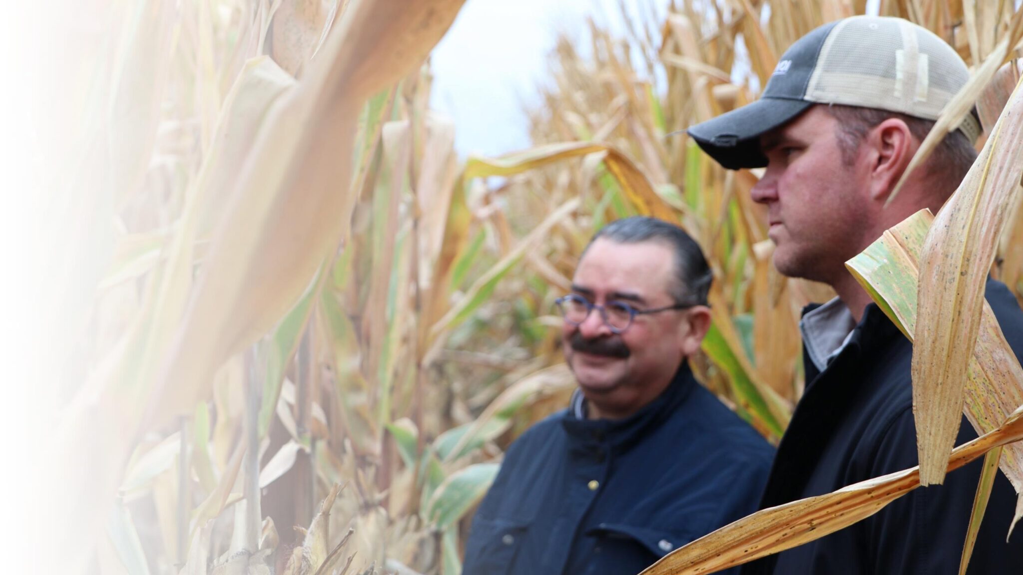 Iowa Corn Boards and Staff
