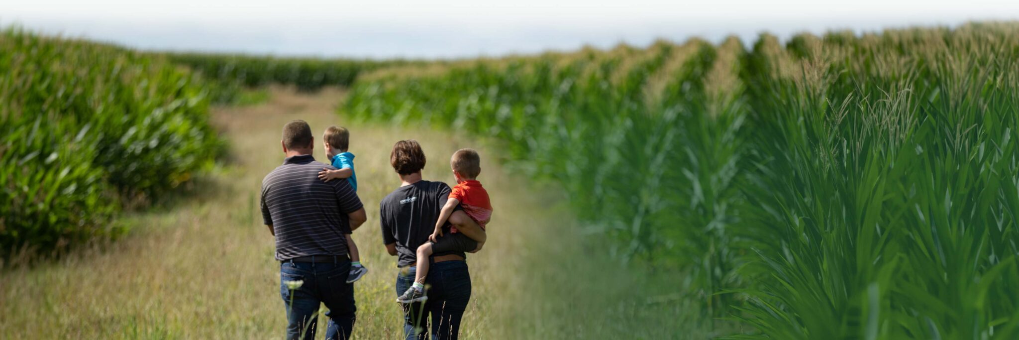 Products Made from Corn | Iowa Corn Growers Association