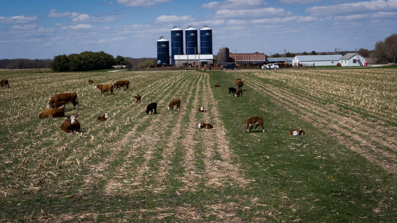 Corn Farming in Iowa | Iowa Corn Growers Association