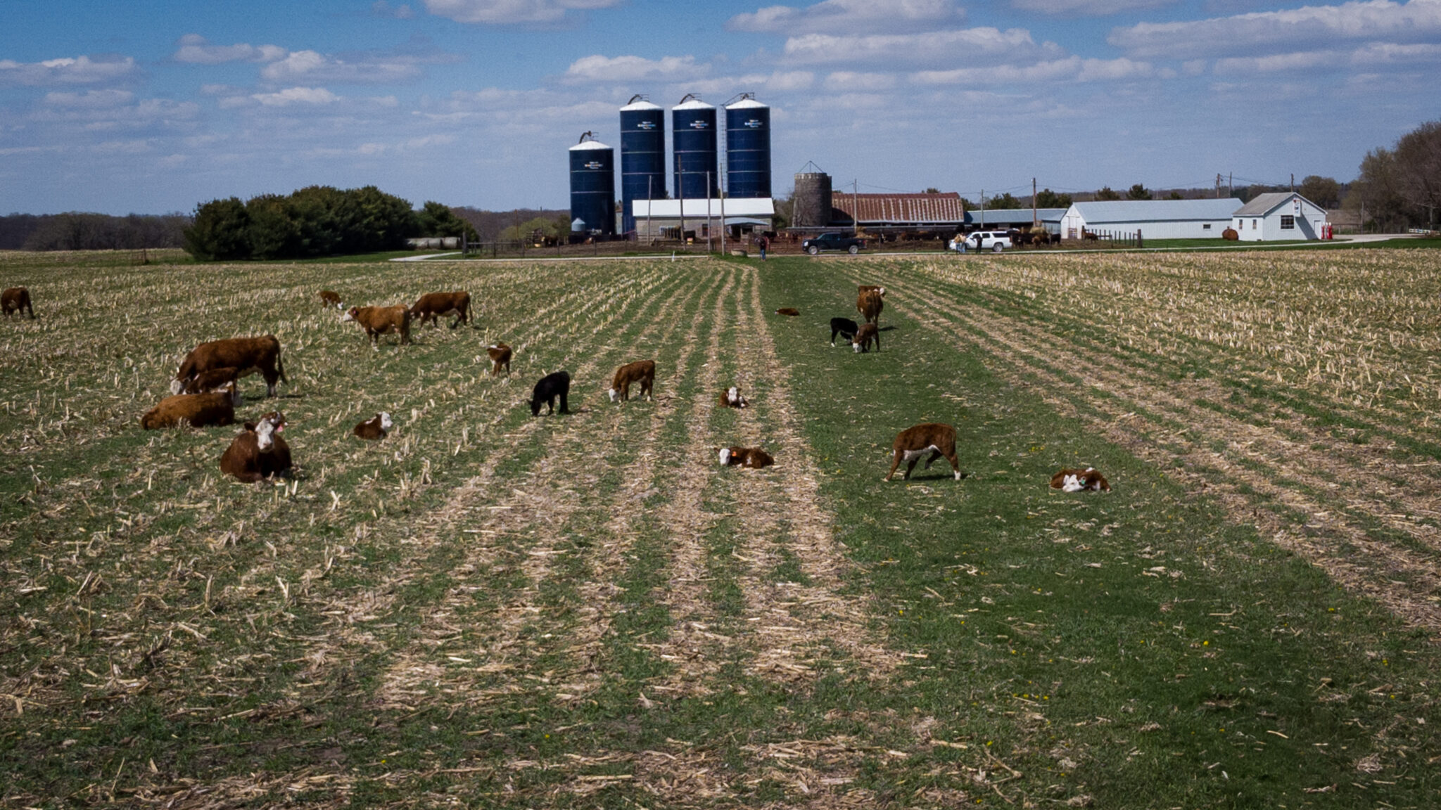 Corn Farming in Iowa | Iowa Corn Growers Association