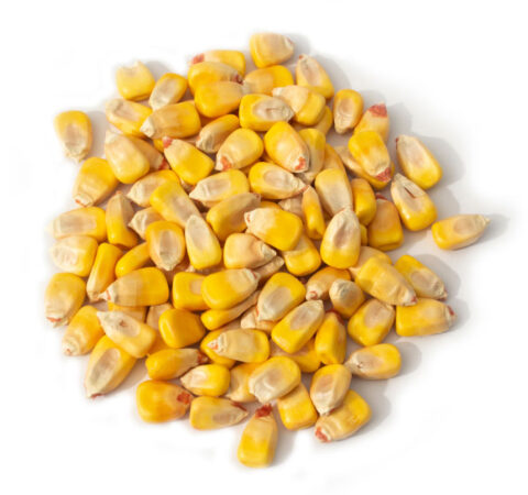 What Is Made of Corn? | Iowa Corn Growers Association
