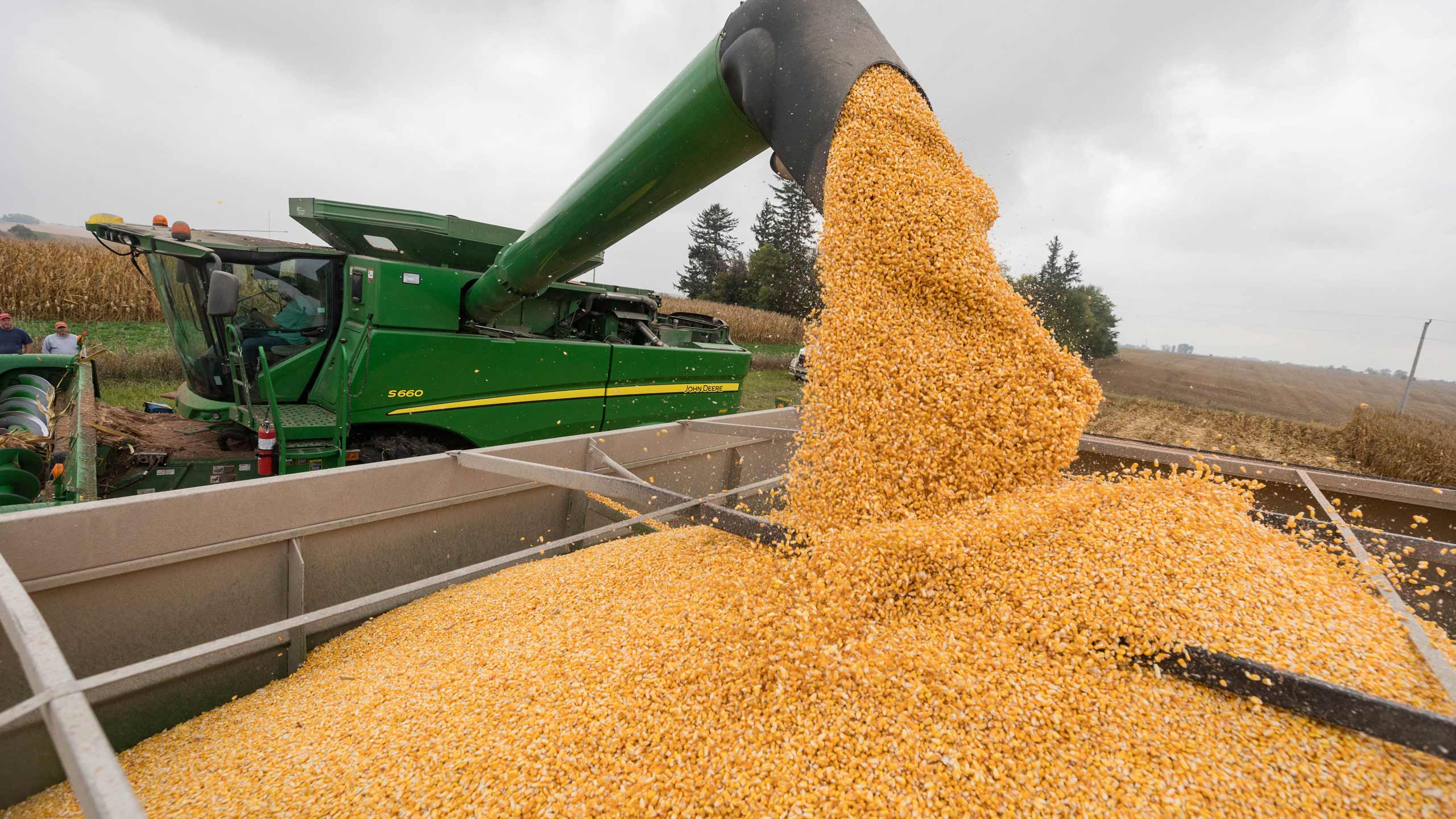 Research for Innovative New Corn Uses | Iowa Corn