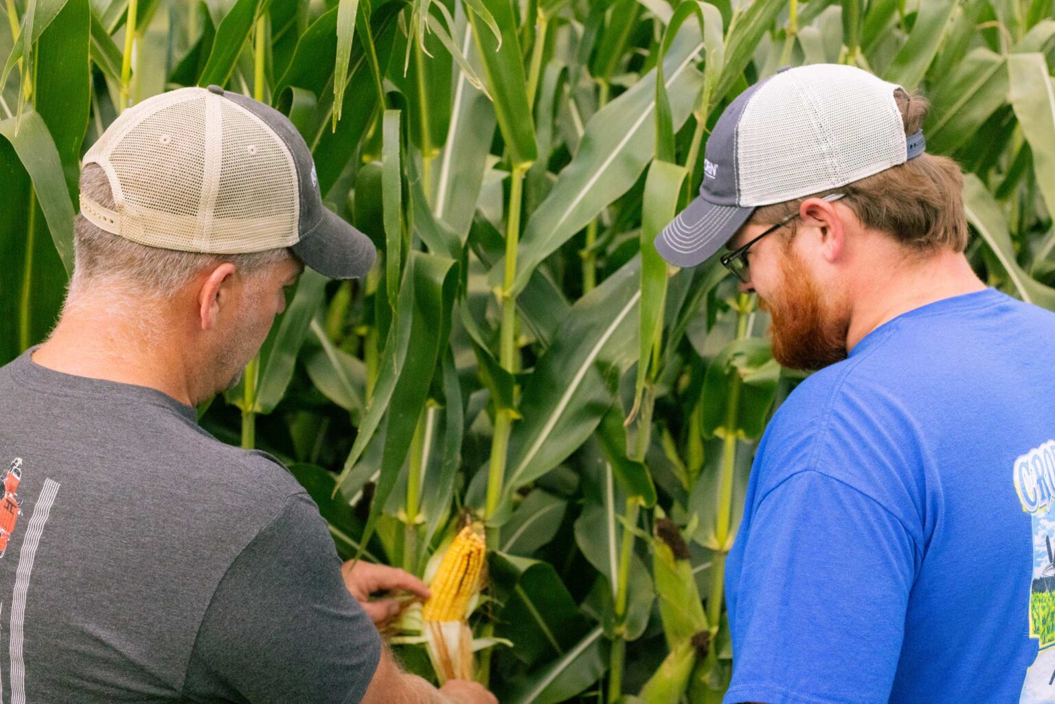 Iowa Corn Growers Association