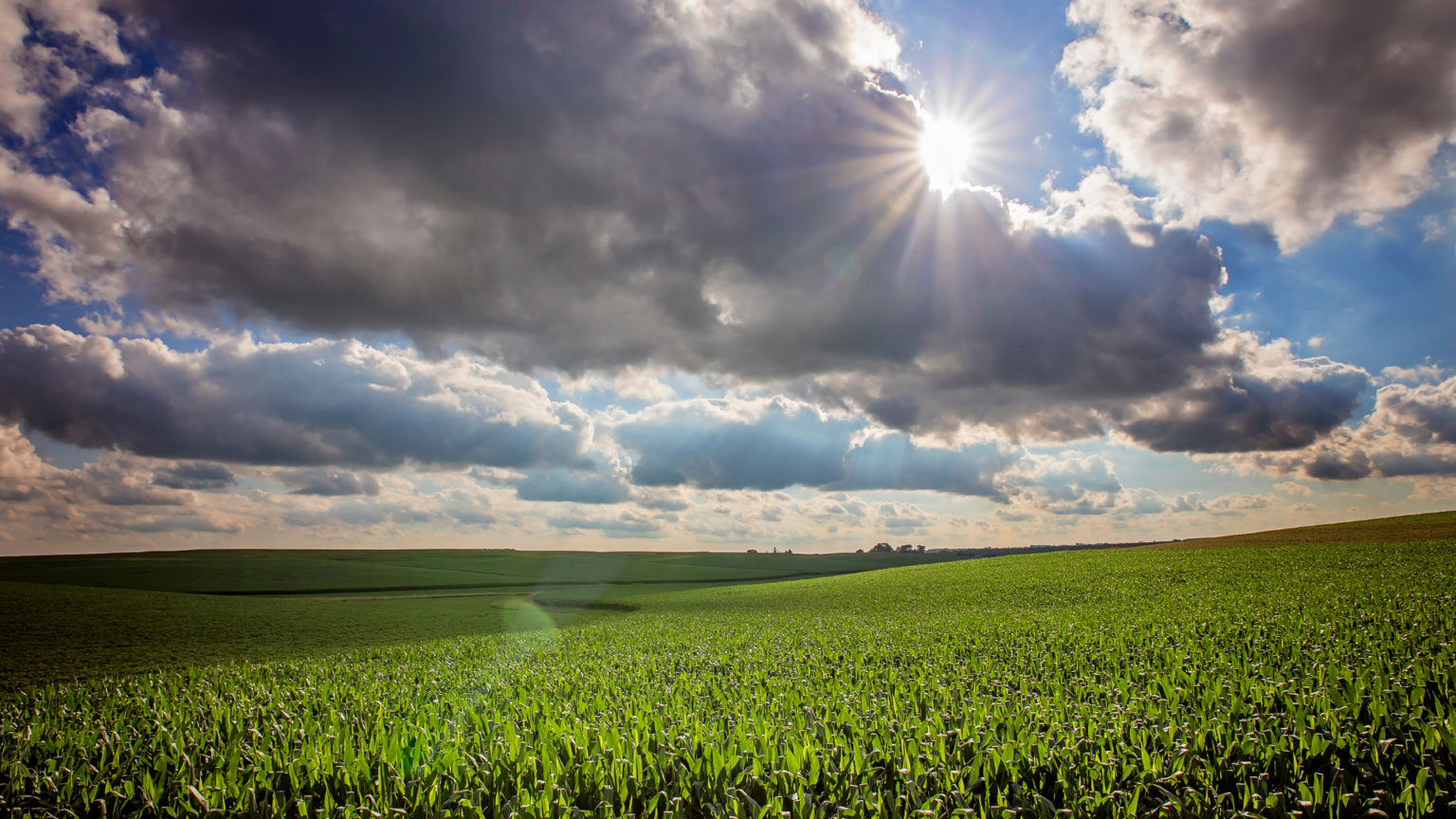 Radicle Growth Launches Corn Value Chain Challenge | Iowa Corn