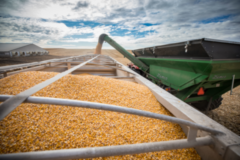 Iowa Corn Growers Association